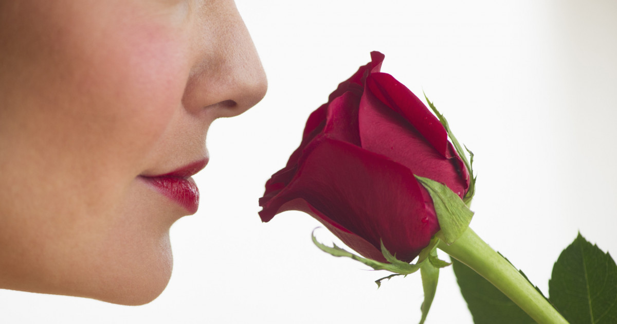 Domina tu sentido del olfato y aprovecha sus beneficios