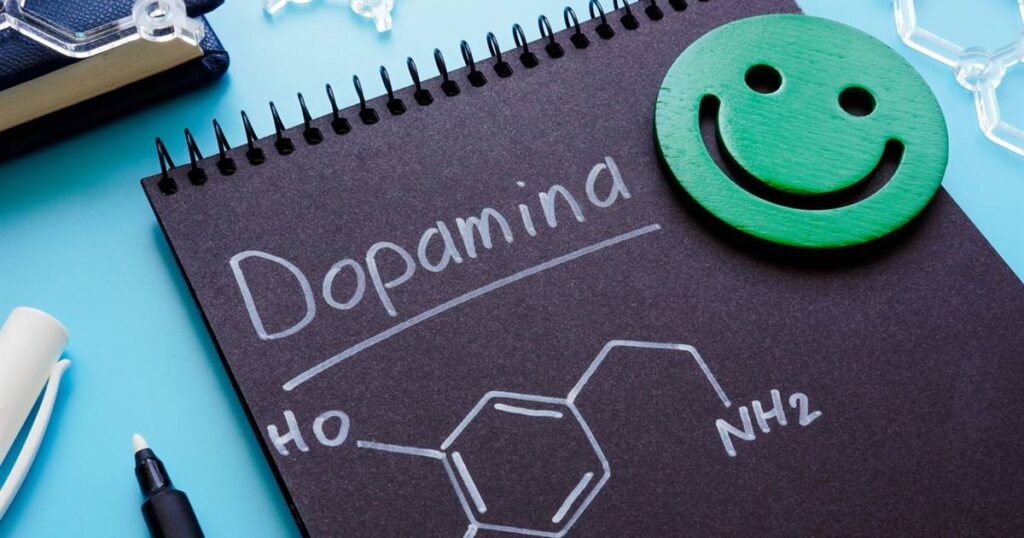 que son y como influyen en la felicidad | Activa tu Cerebro